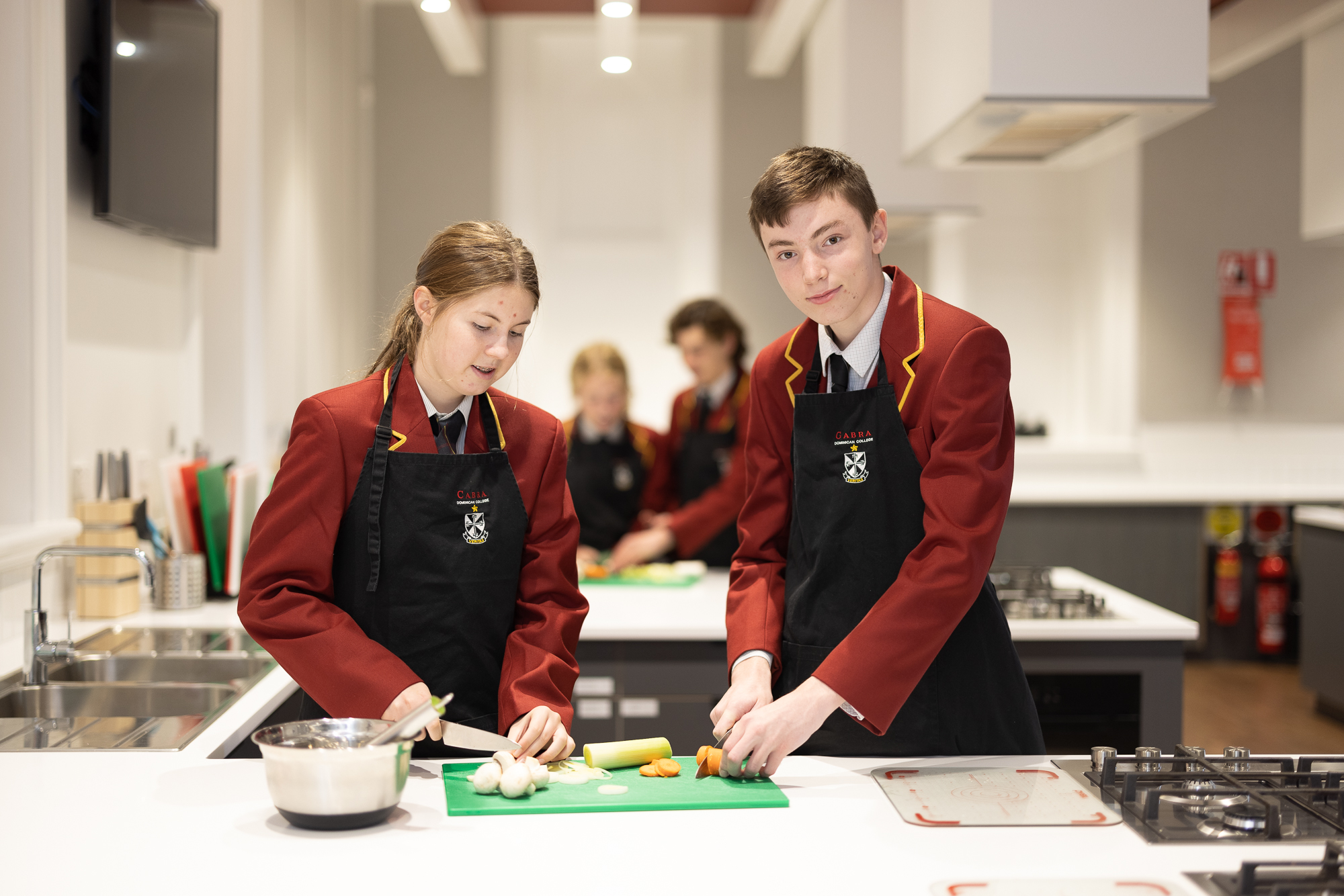 Our Approach | Cabra Dominican College